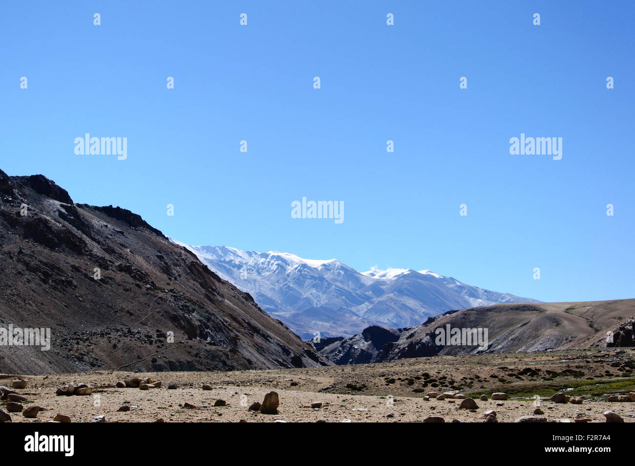 Changthang plateau hi-res stock photography and images - Alamy