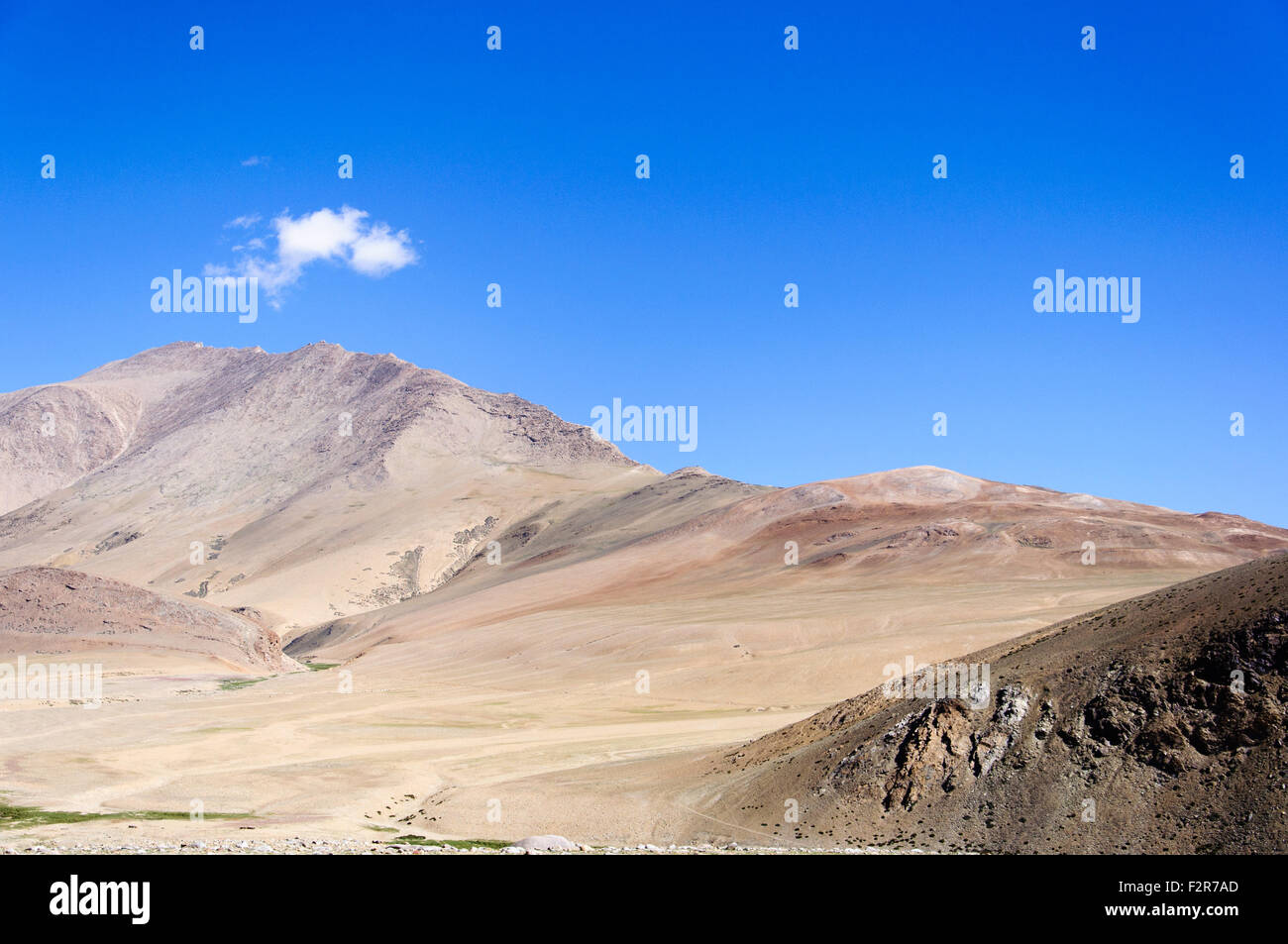 High in the Himalayas, Changthang Plateau, Ladakh, India Stock Photo ...