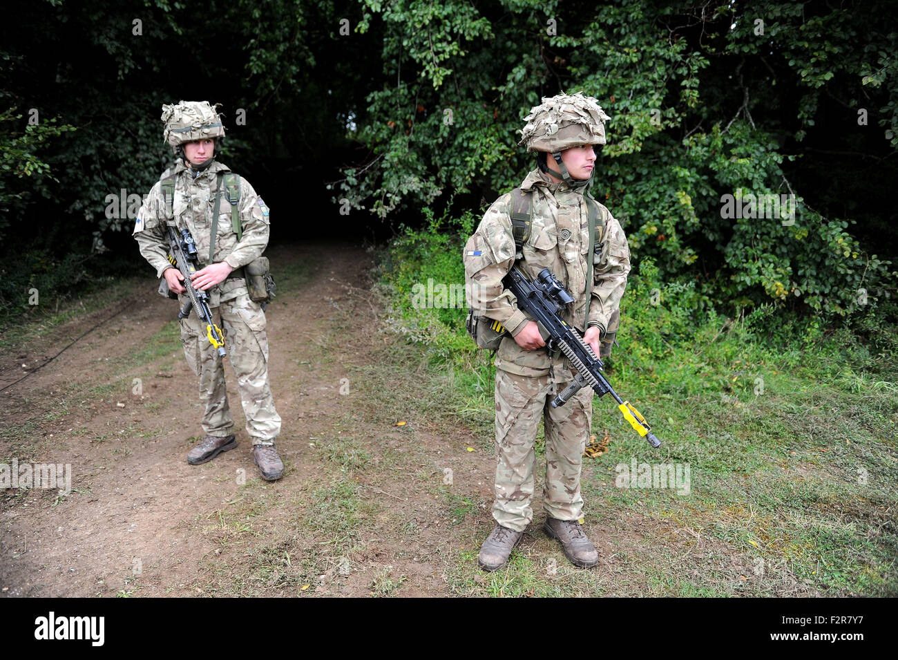 English Army Soldier Stock Photos & English Army Soldier Stock Images ...