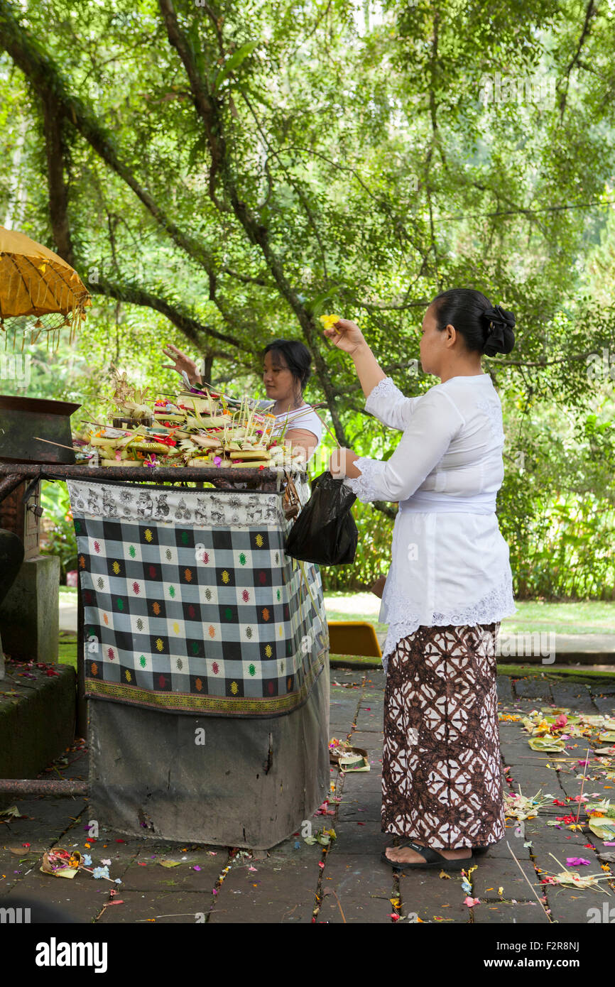 Religious ceremony at the holy water temple of Tirta Empul during ...