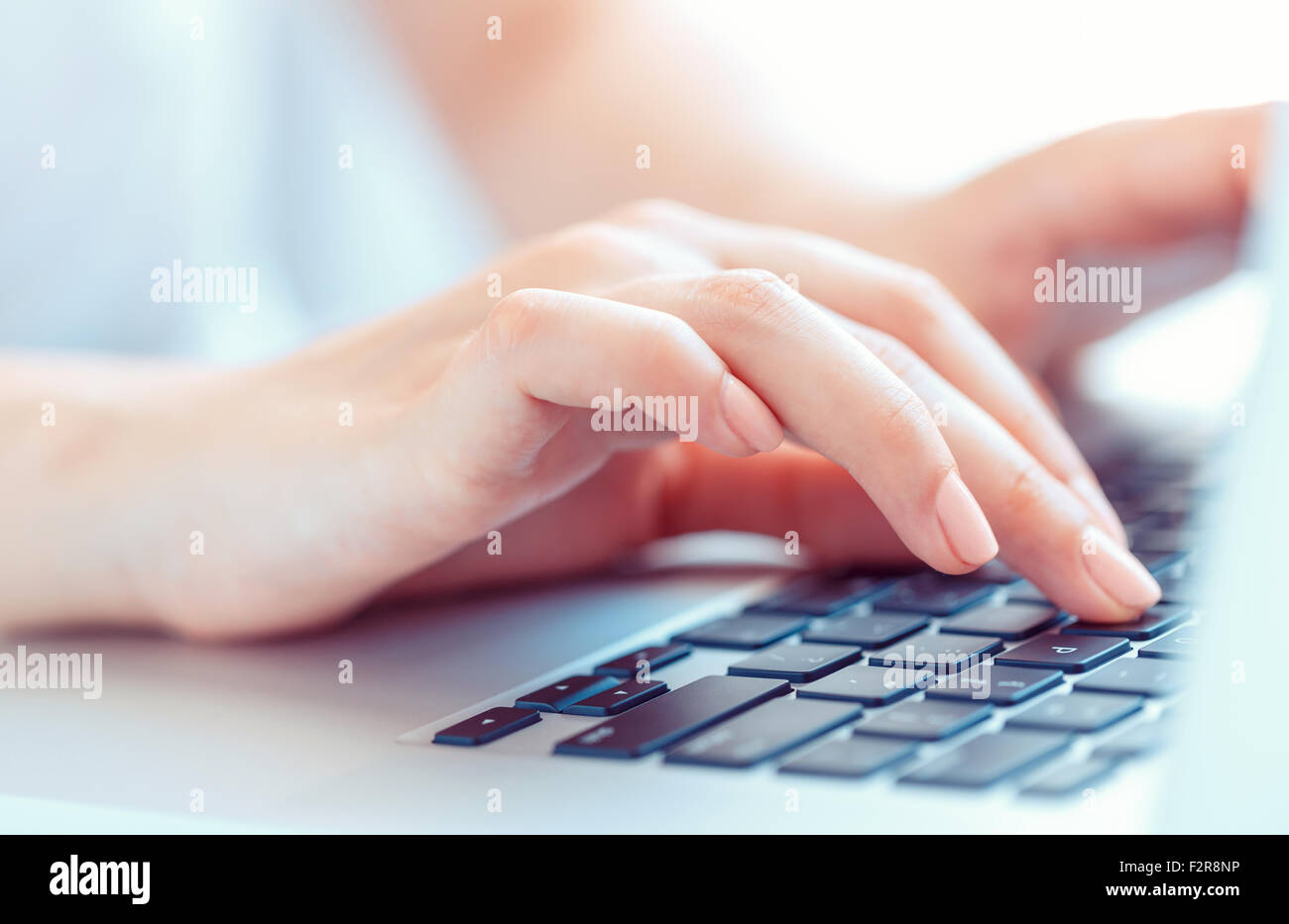 Female hands or woman office worker typing on the keyboard Stock Photo ...