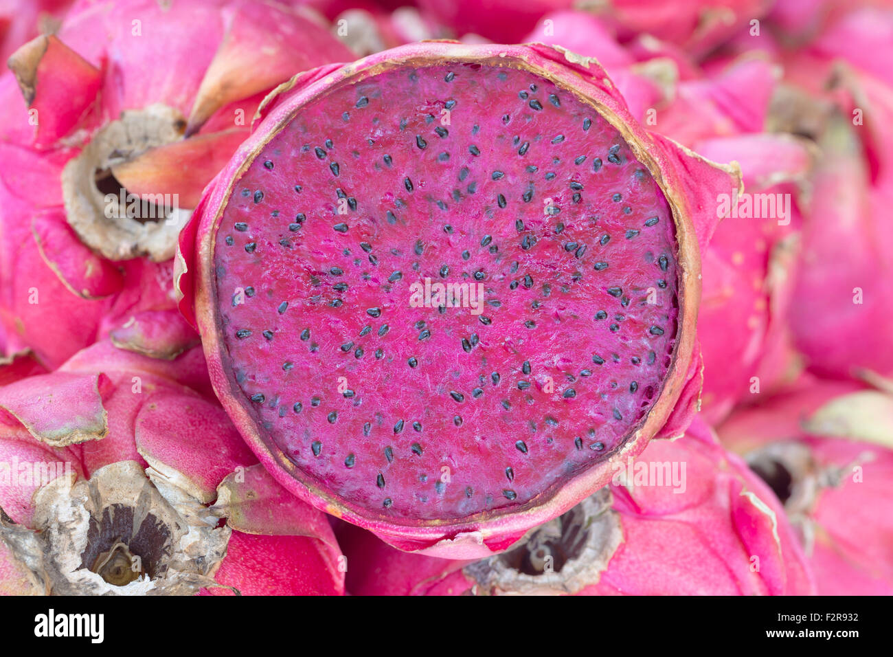 Red Flesh Dragon Fruit