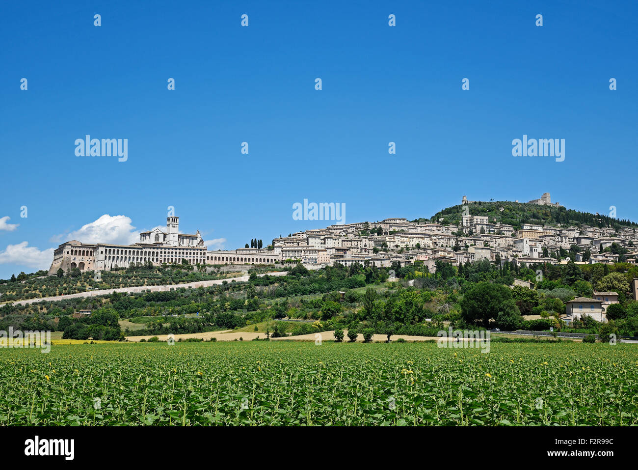 Cityscape with the Basilica of San Francesco, Assisi, Province of ...