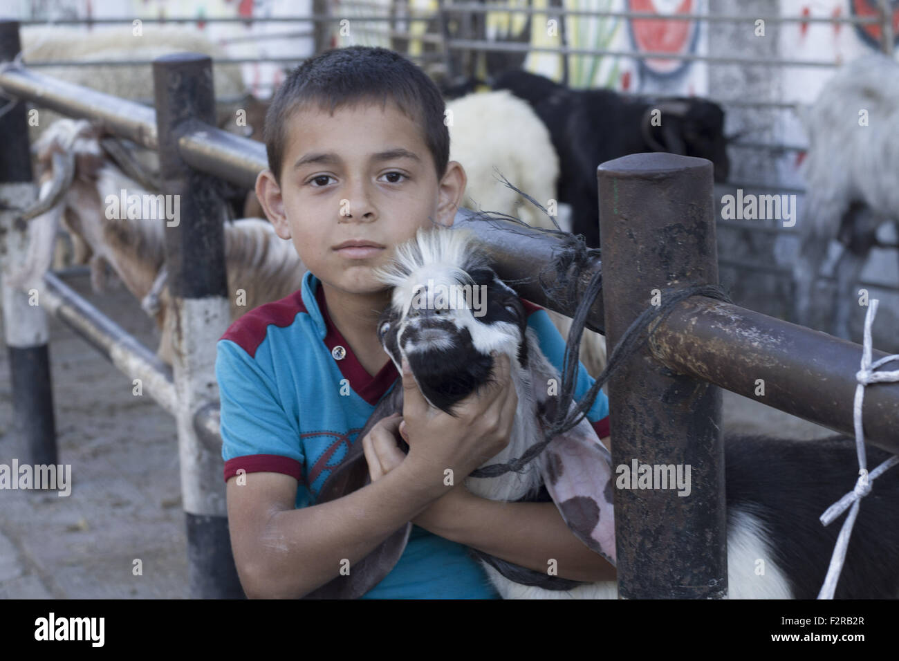 Gaza City, The Gaza Strip, Palestine. 22nd Sep, 2015. Palestinian kid ...