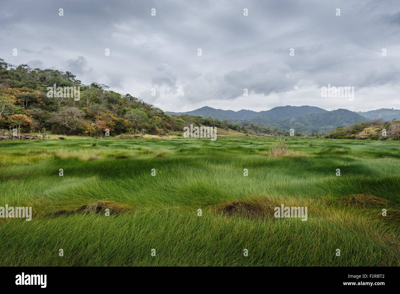 Sumbe angola hi-res stock photography and images - Alamy