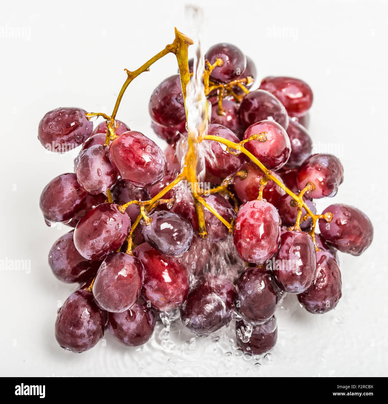 Grapes being washed Stock Photo - Alamy