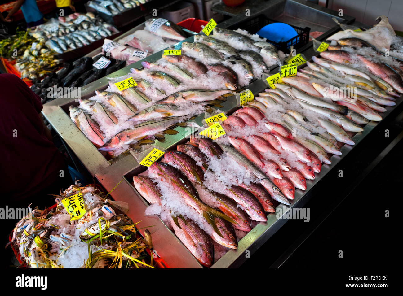 Pargo fish mexico hi-res stock photography and images - Alamy