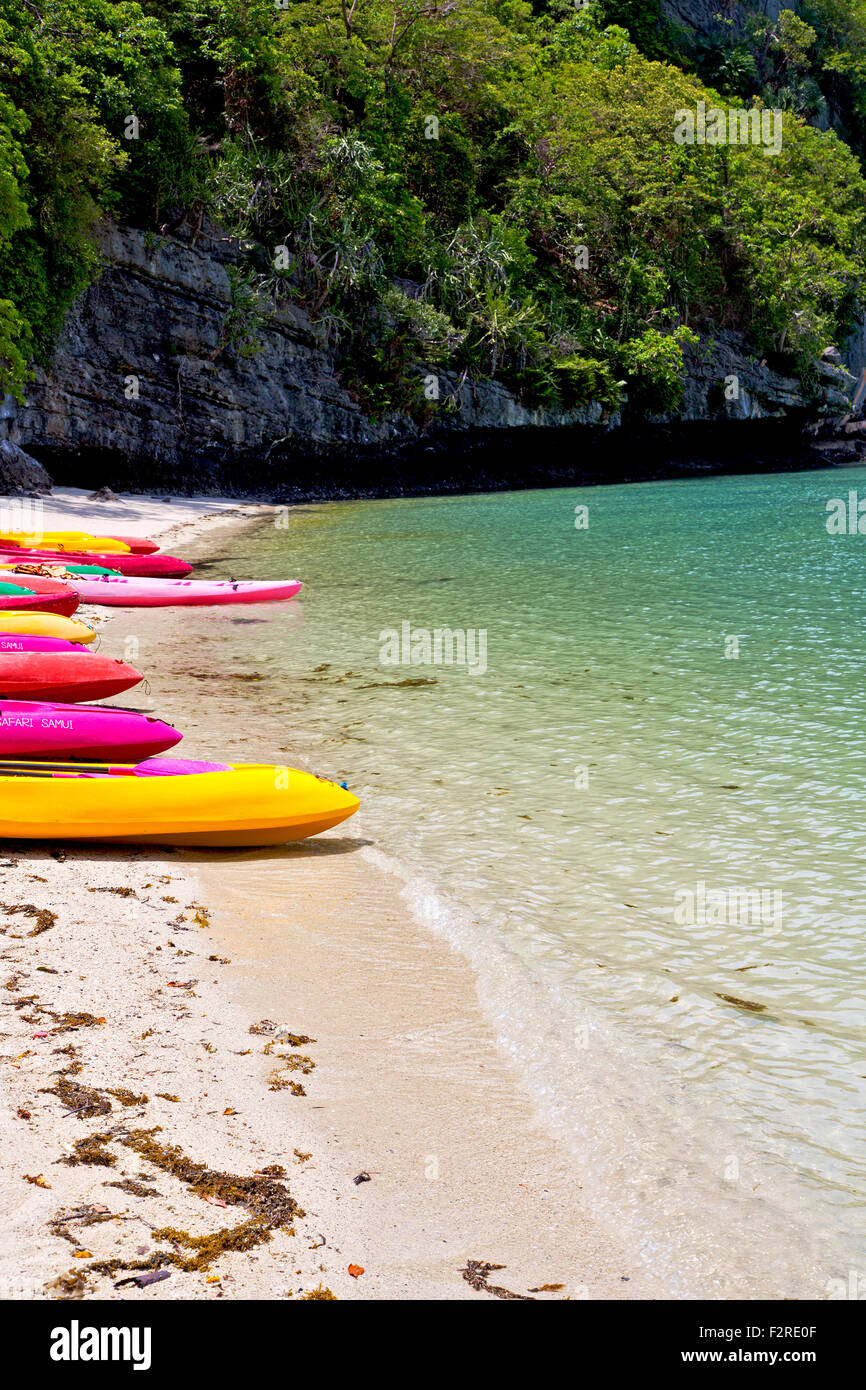 boat coastline of a green lagoon and tree south china sea thailand kho ...