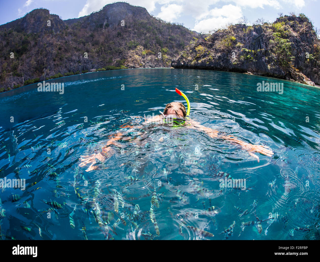 Young man snorkeling in clear shallow tropical sea Stock Photo - Alamy