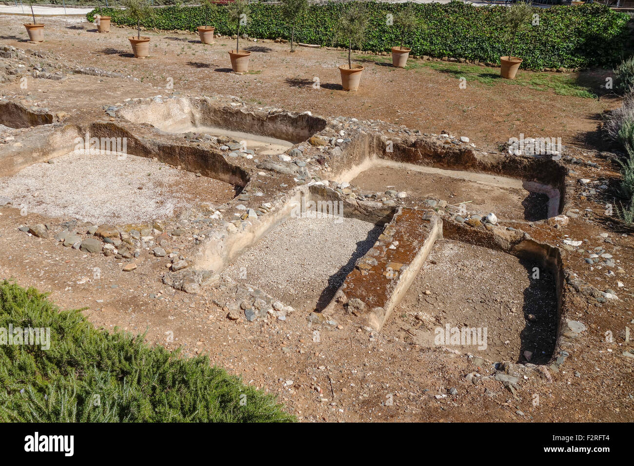 Garum fish hi-res stock photography and images - Alamy