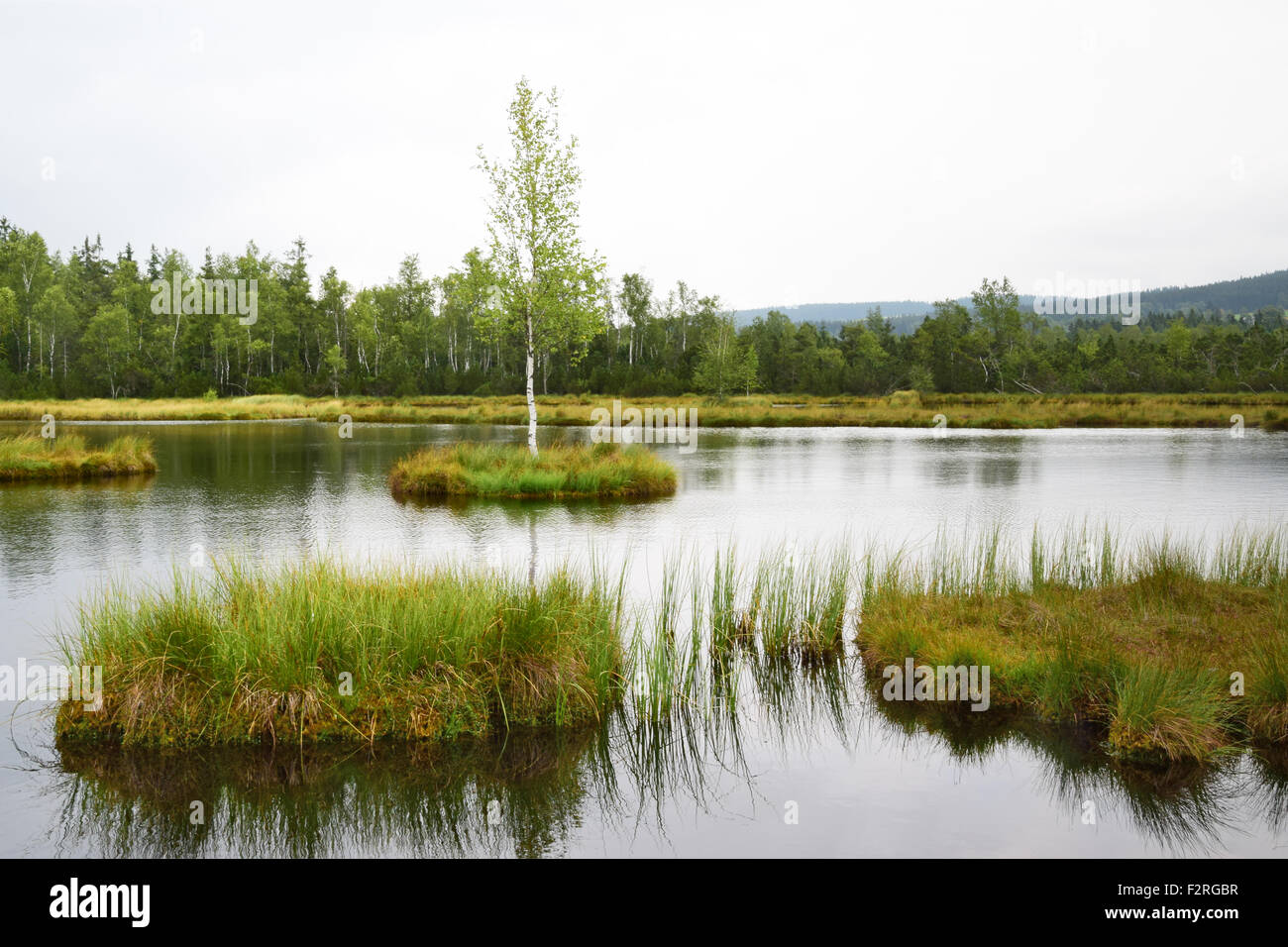Sumava nature park hi-res stock photography and images - Alamy