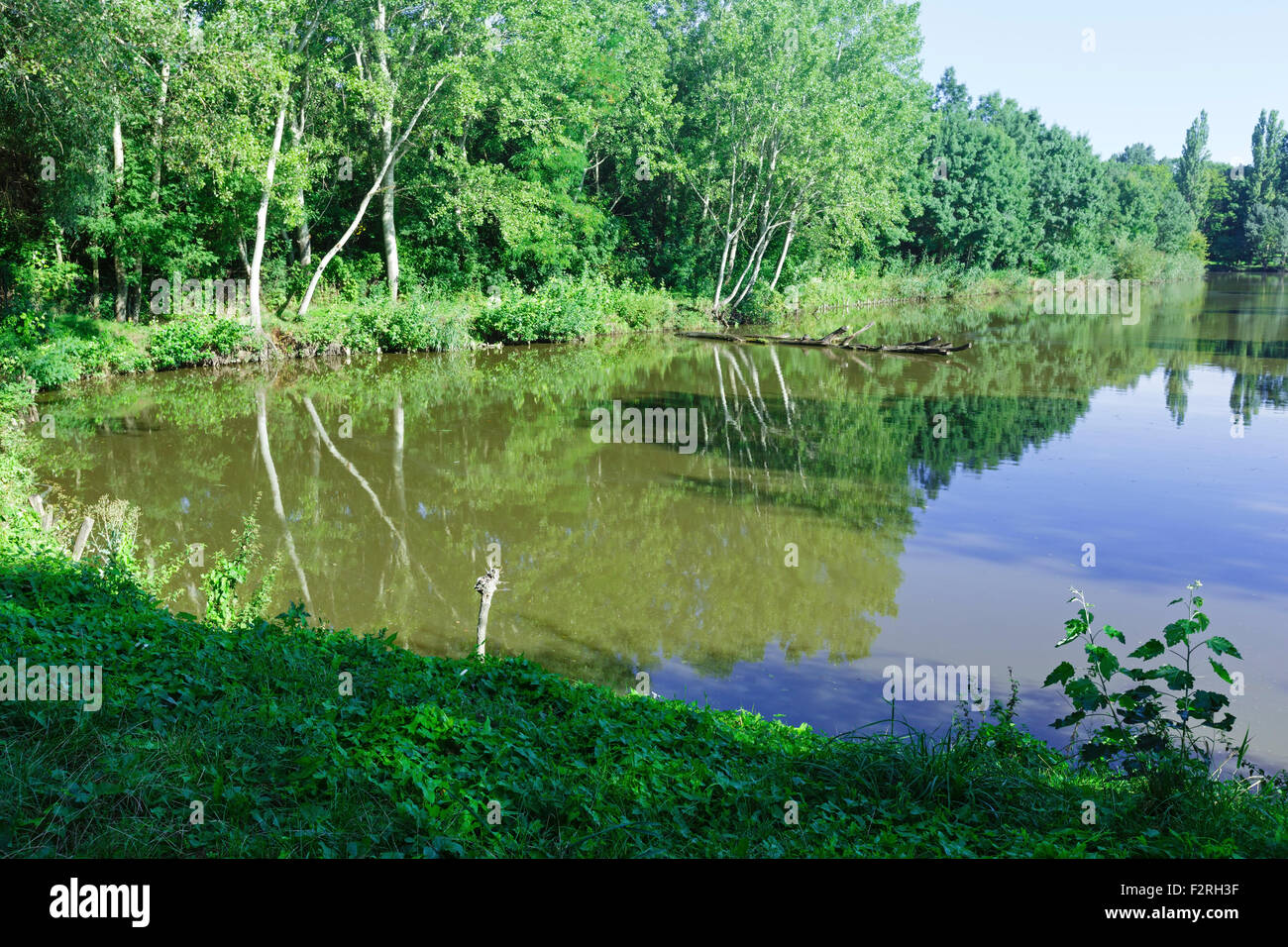 Summer lake with trees hi-res stock photography and images - Alamy