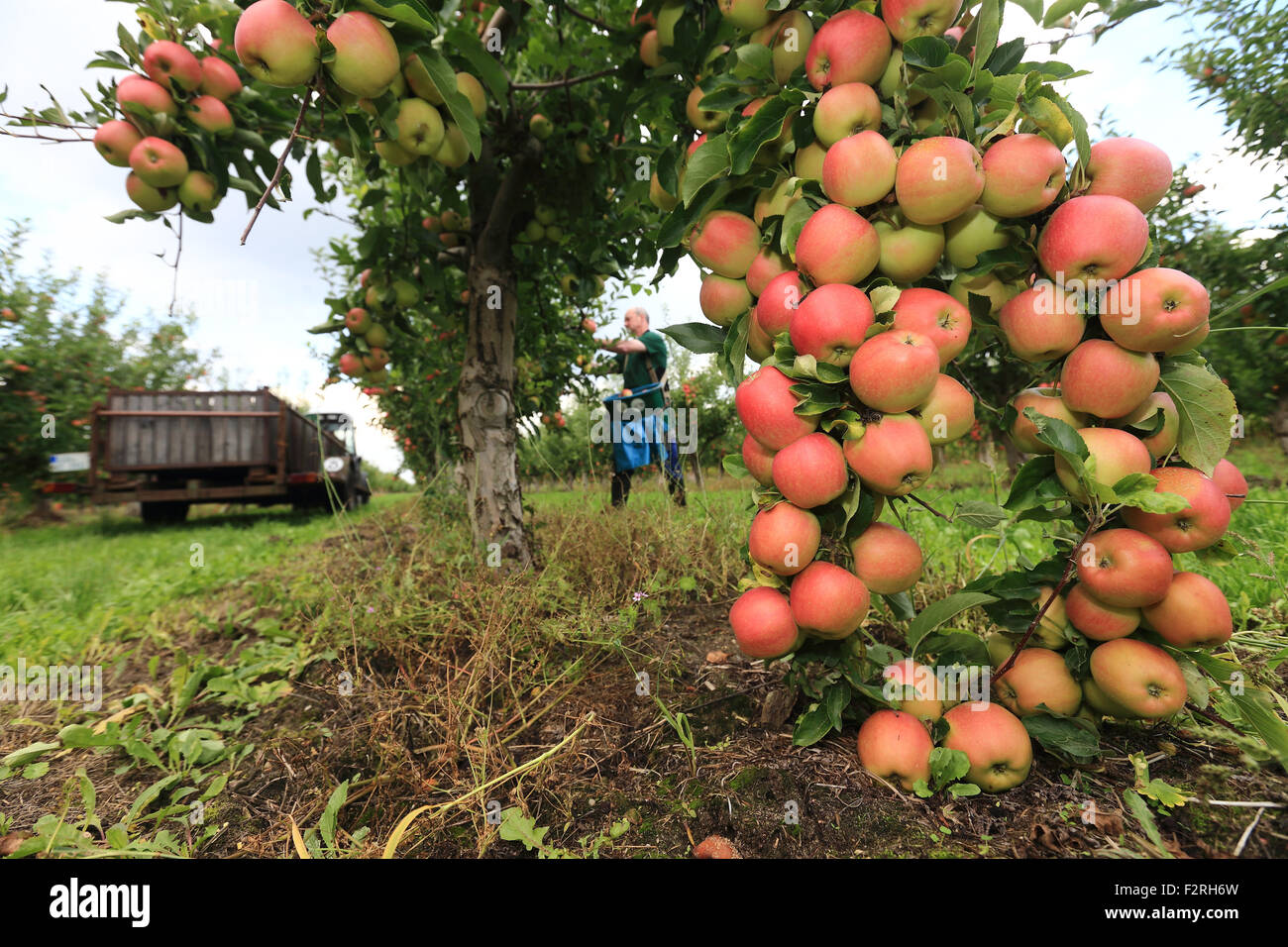 466 04 hi-res stock photography and images - Alamy