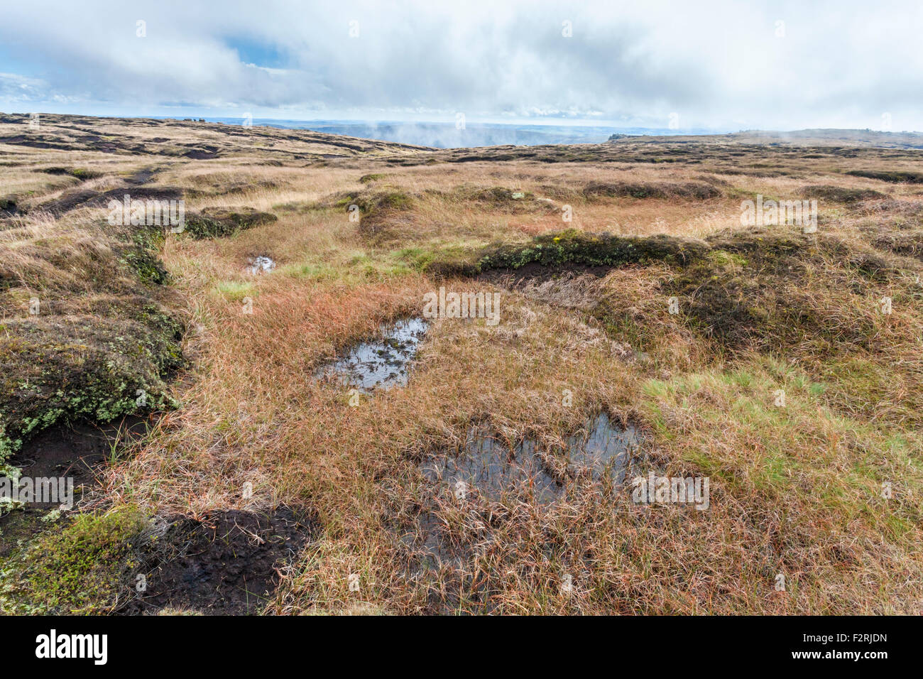Peat bog uk hi-res stock photography and images - Alamy