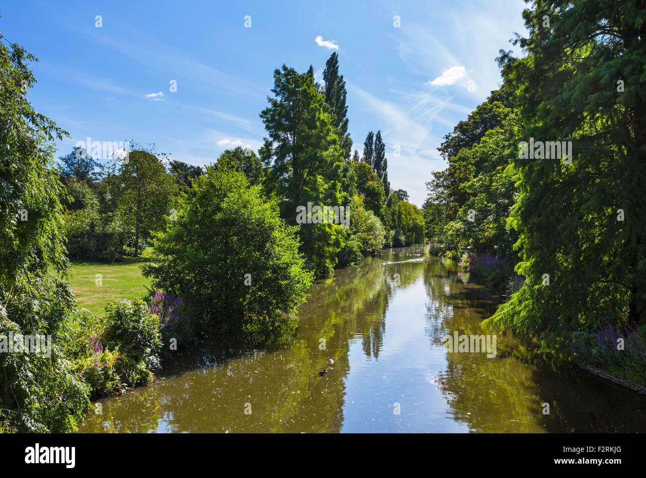 Chiswick House Gardens, Chiswick, London, England, UK Stock Photo - Alamy