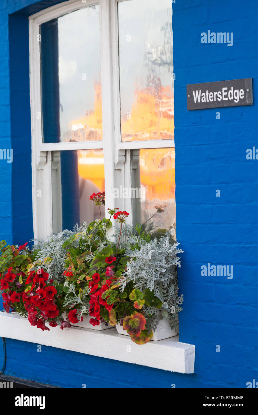 Flowers in window box and lifeboat reflections in window of Waters Edge ...