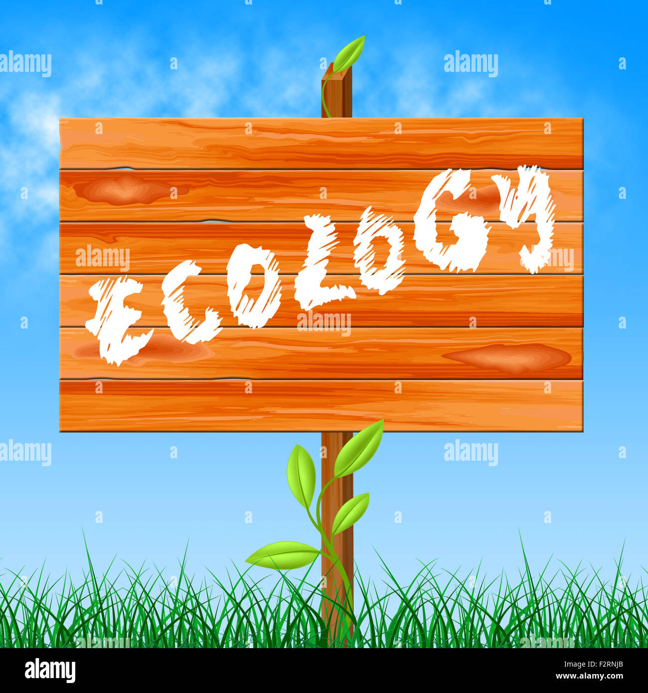 Eco Ecology Indicating Go Green And Protection Stock Photo - Alamy