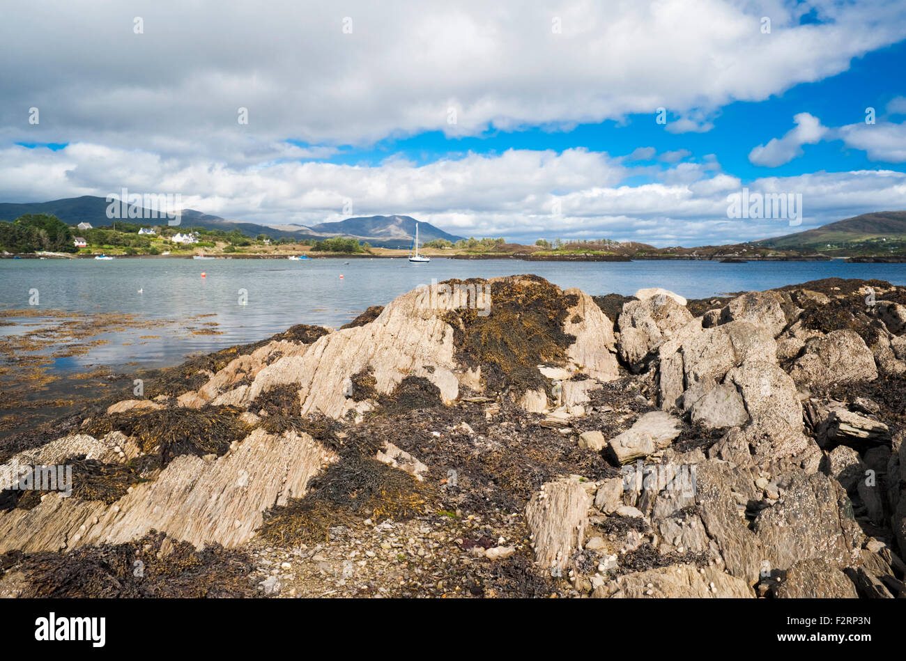 Old red sandstone ireland hi-res stock photography and images - Alamy