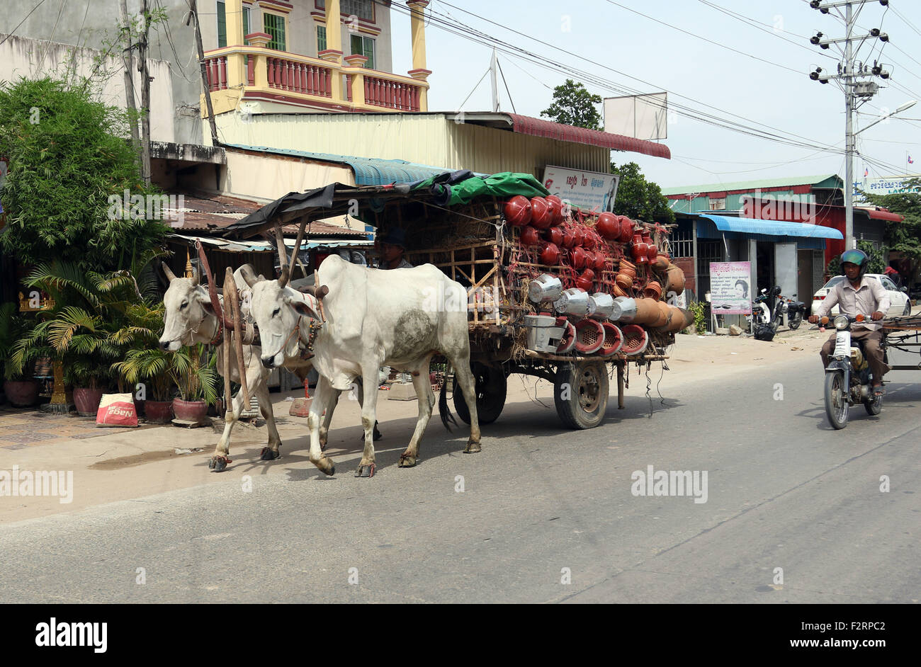 Ox pulling hi-res stock photography and images - Alamy
