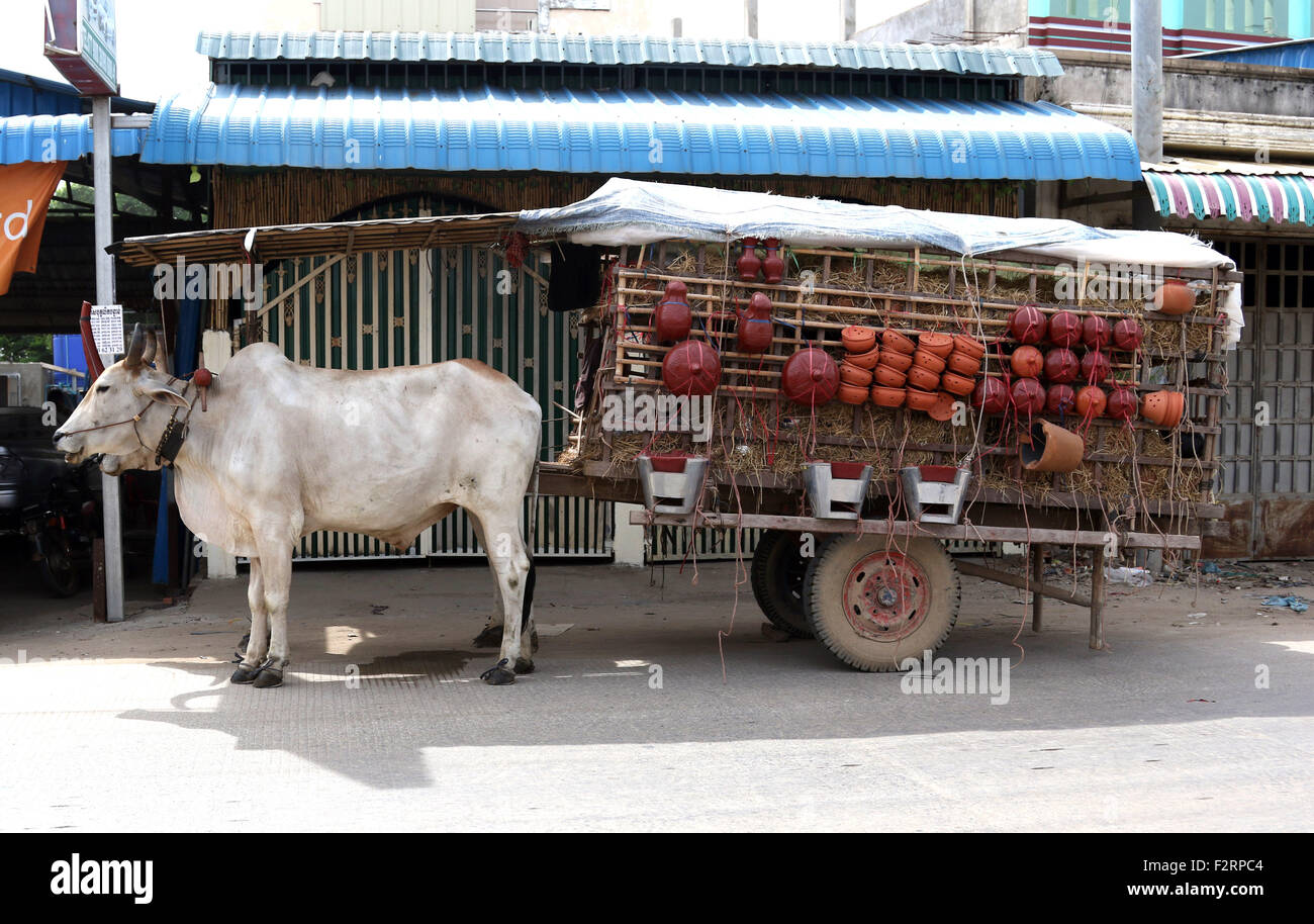 Ox pulling a cart with pots on the side Stock Photo - Alamy