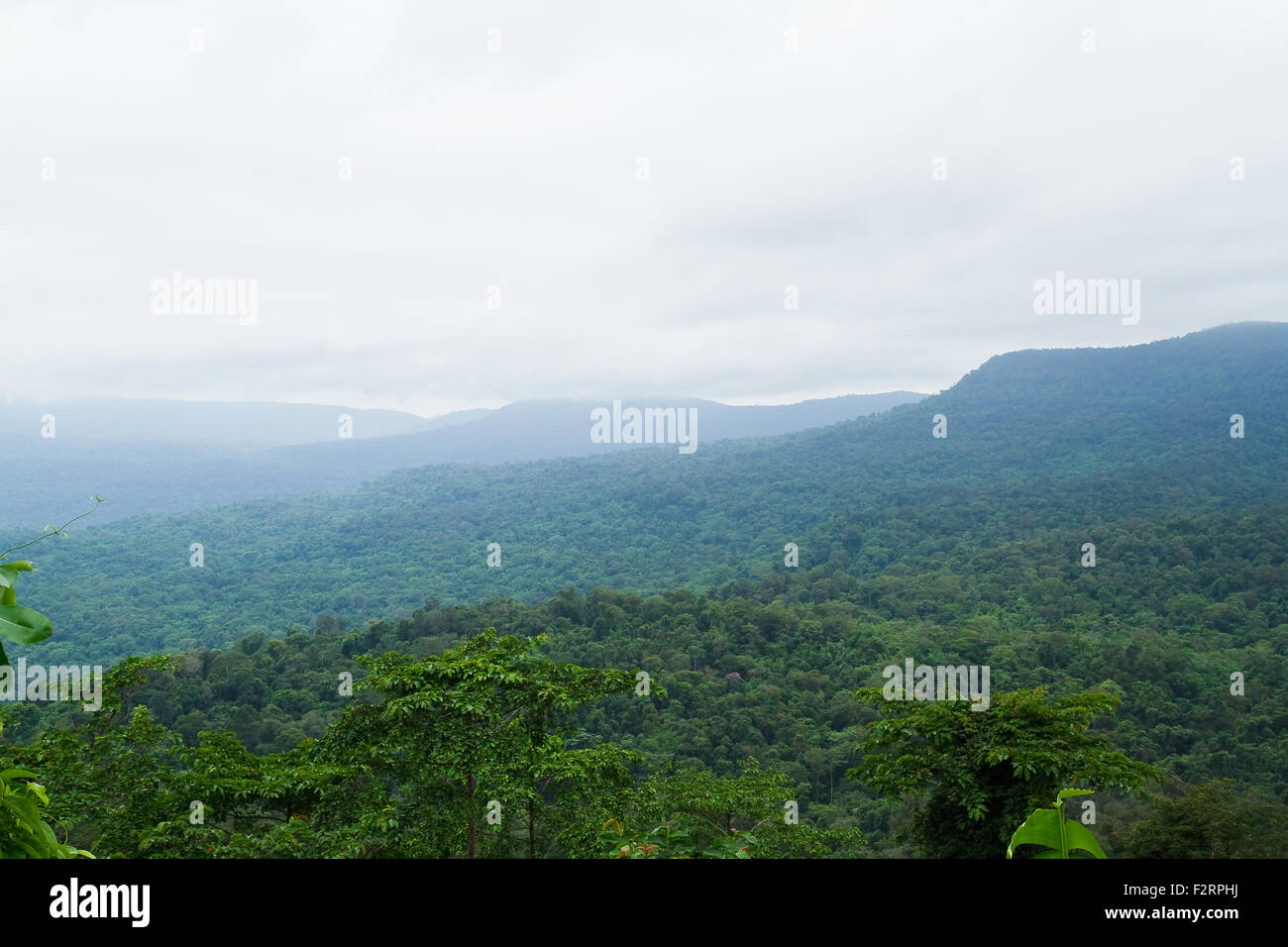 Pang Sida mountain scenery Stock Photo - Alamy
