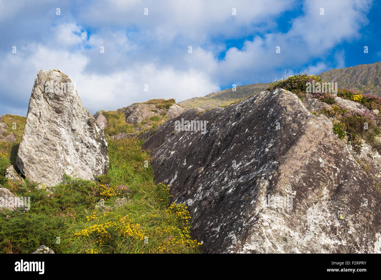 Beara peninsula ireland hi-res stock photography and images - Alamy