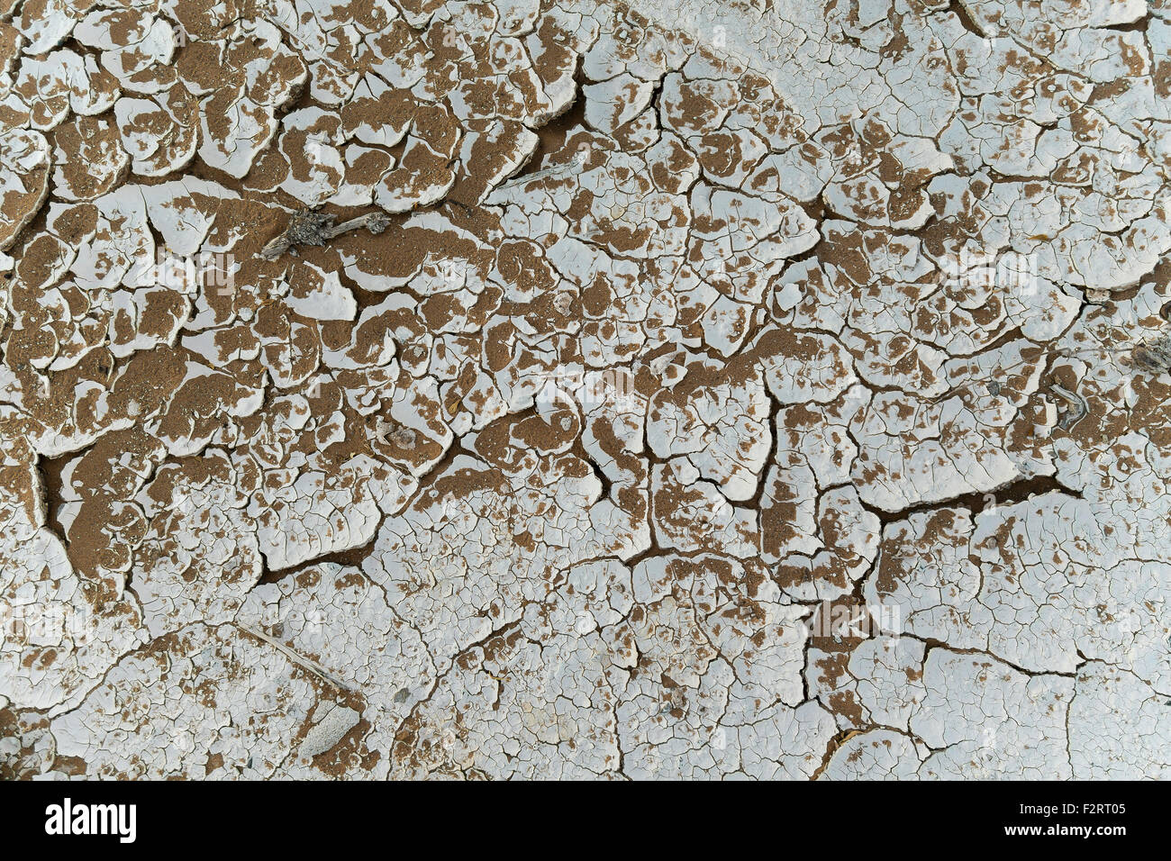 Land texture hi-res stock photography and images - Alamy