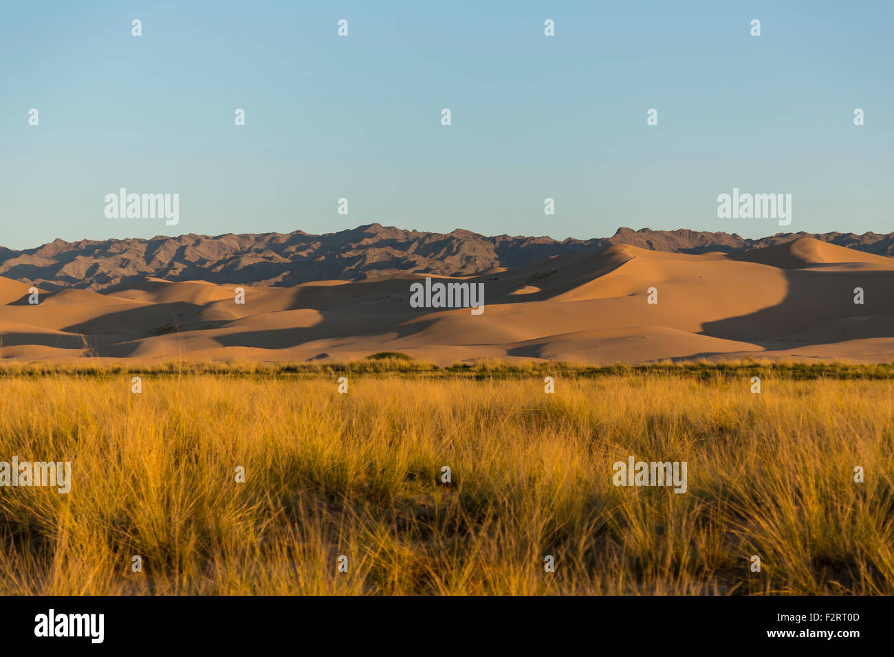 Sandy grass texture hi-res stock photography and images - Alamy