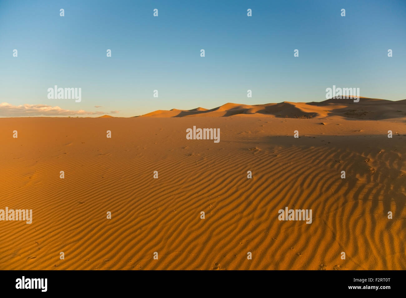 Waves of desert hi-res stock photography and images - Alamy