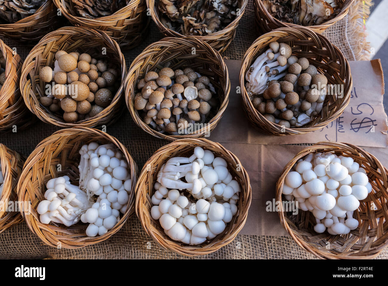 Locally grown mushrooms on display at the Farmers Market along Main ...