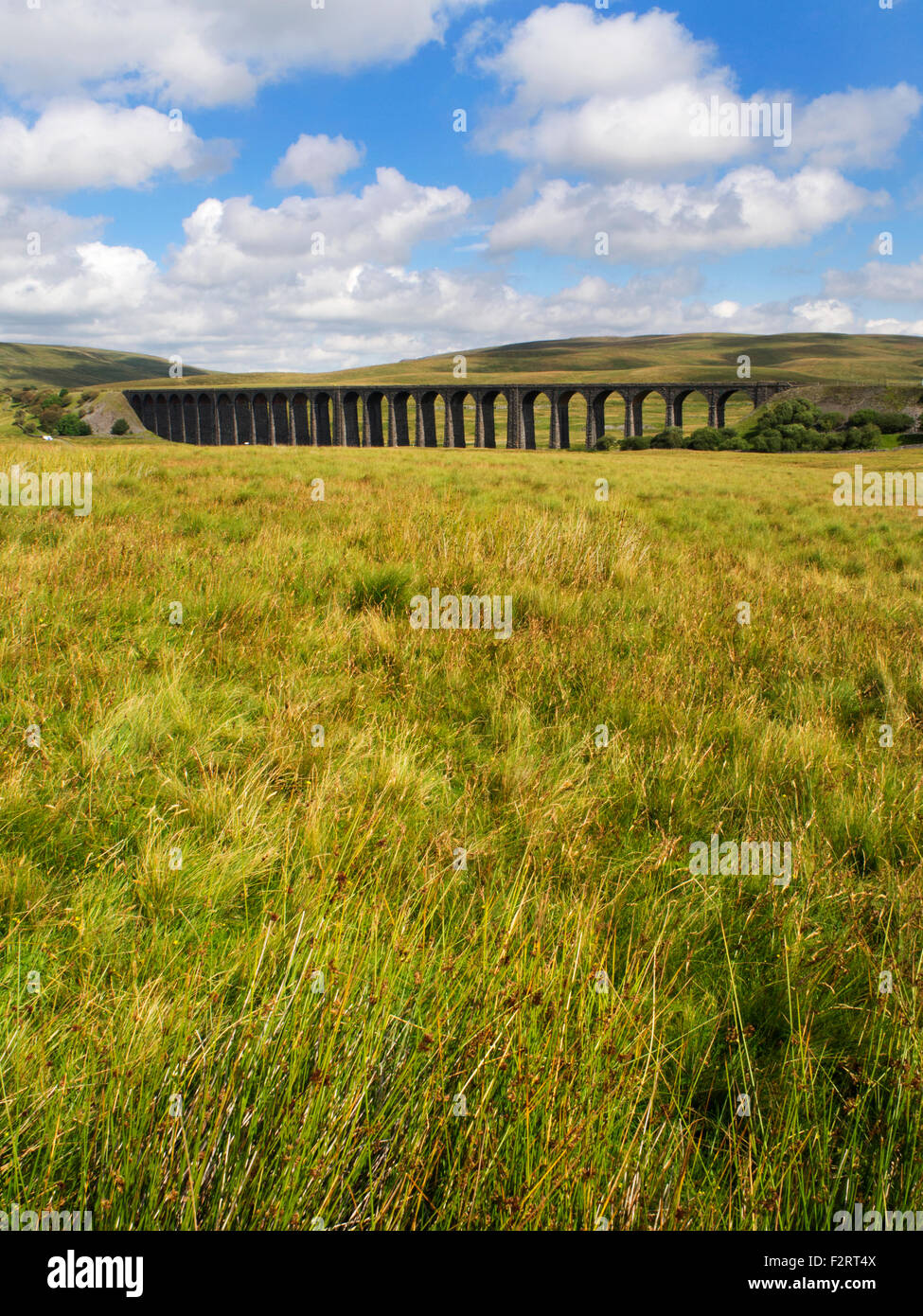 The Ribblehead Viaduct from Gauber Little Pasture Ribblehead Yorkshire ...