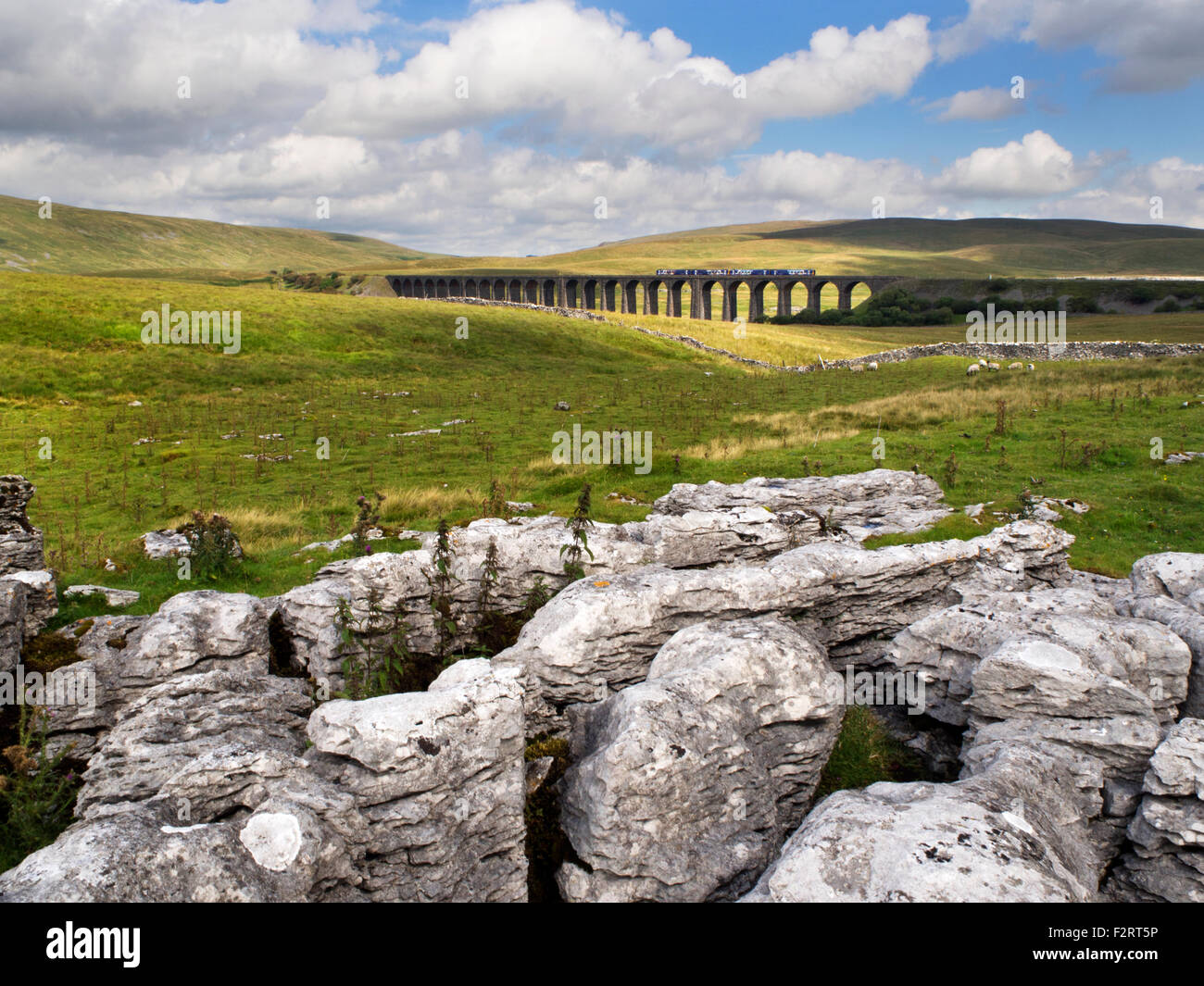 Northern Rail Train on the Ribblehead Viaduct from Ellerbeck Rocks ...