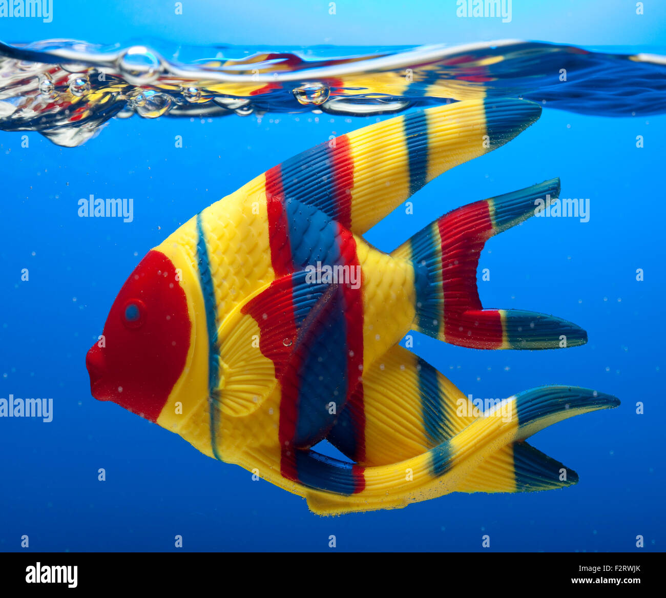 Still Life of toy Fish Diving Stock Photo - Alamy