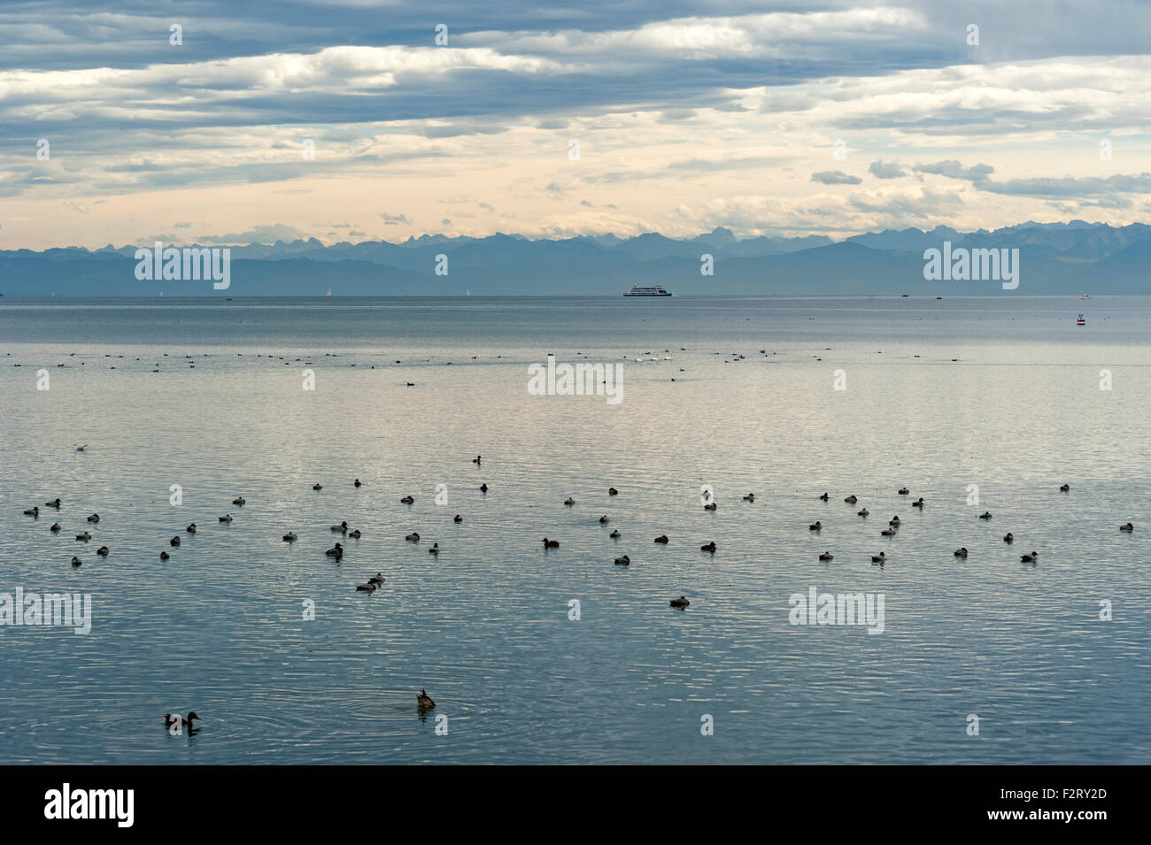 Here at lake constance hi-res stock photography and images - Alamy