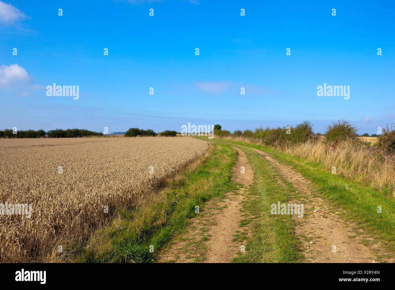 Minster way hi-res stock photography and images - Alamy
