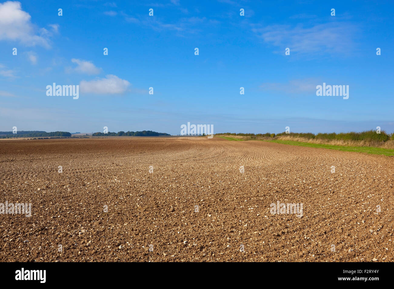 Patterns and texture in a cultivated field of chalky soil in the scenic ...