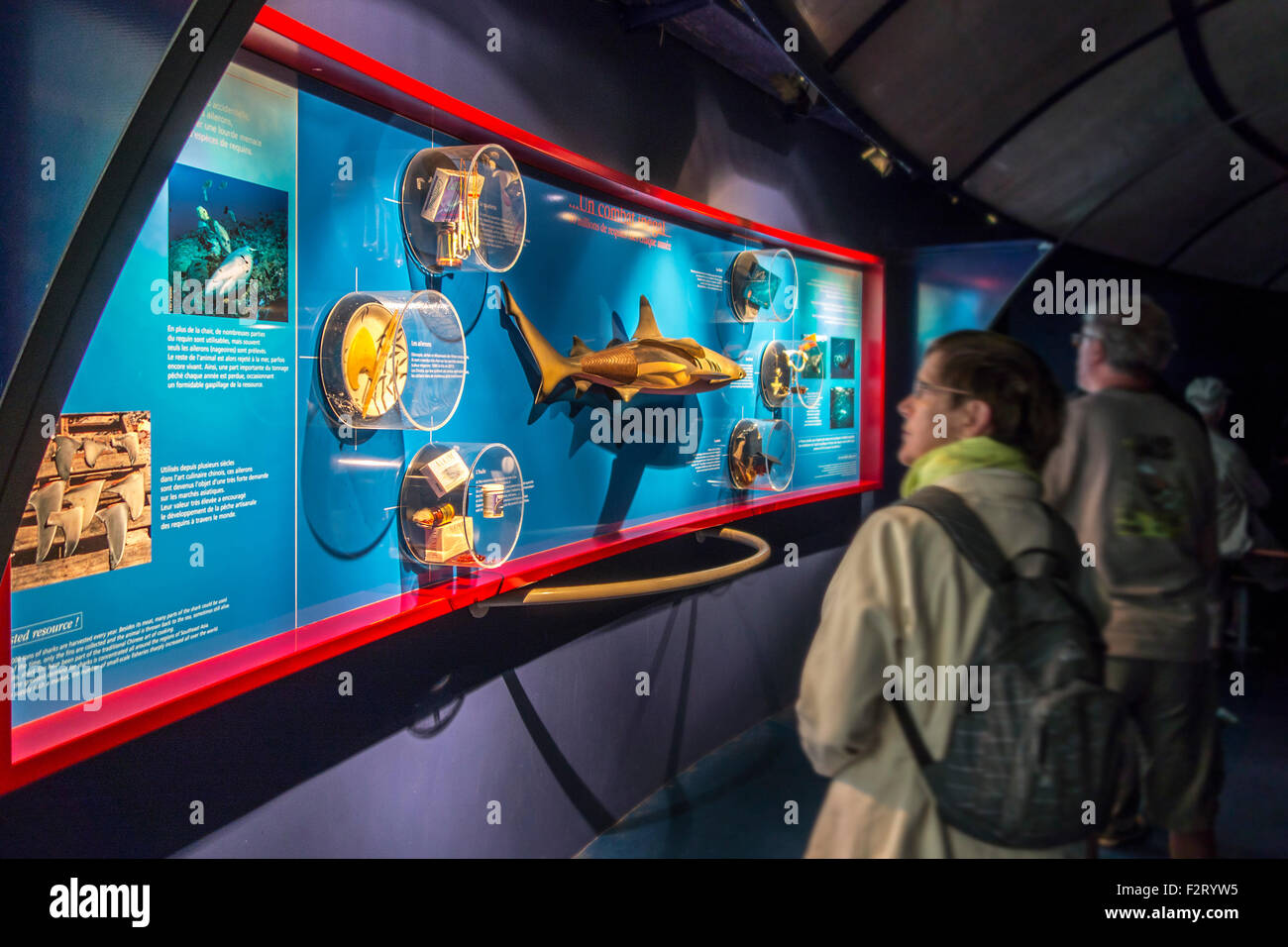 Visitors looking at display about sharks at Oceanopolis - ocean ...