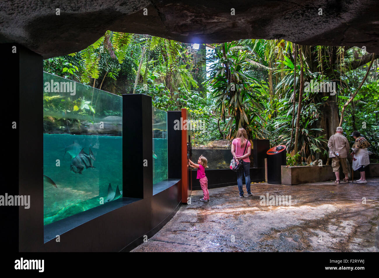 Visitors looking at tropical fishes in huge aquarium at Oceanopolis ...