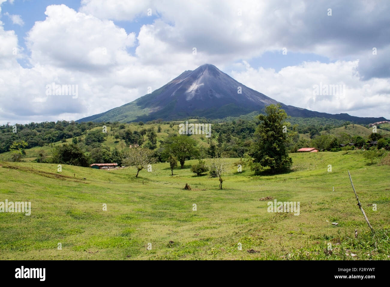 Arenal volcano national park animal hi-res stock photography and images ...