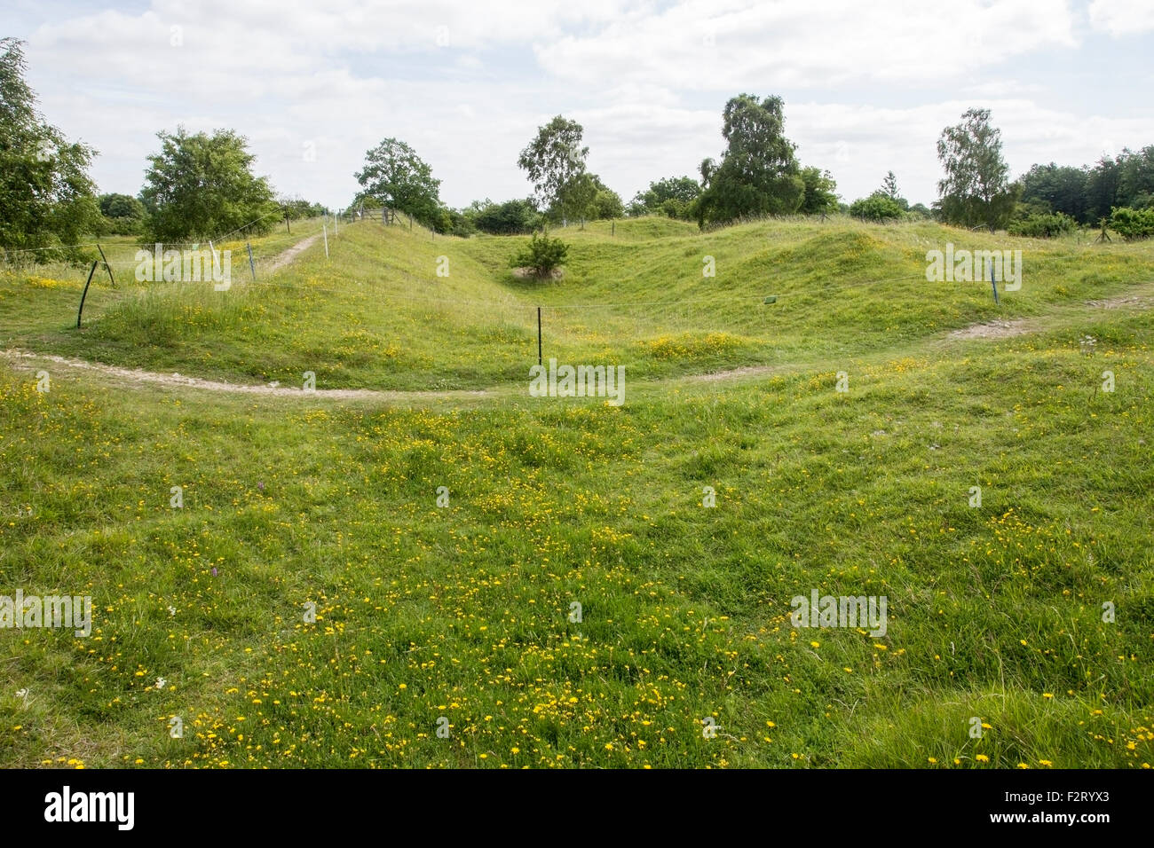 Barnack Hills and Holes National Nature Resrerve, Peterborough ...