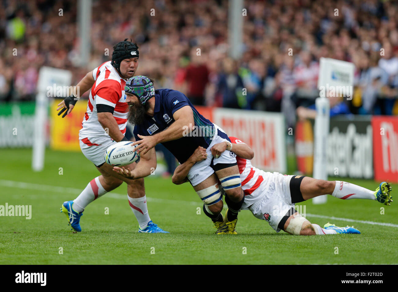 Josh strauss scotland rugby hi-res stock photography and images - Alamy