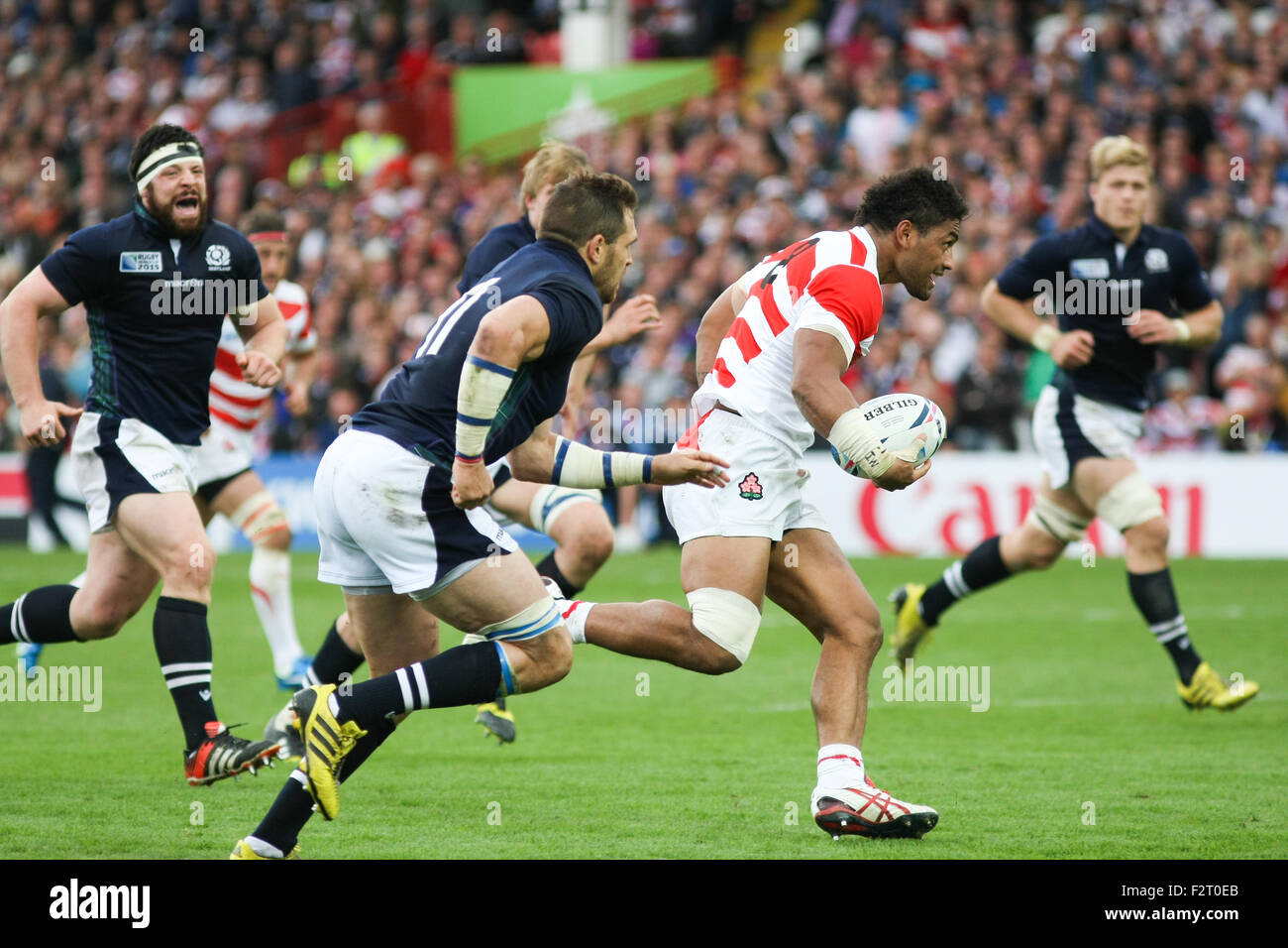 Scotland rugby union team hi-res stock photography and images - Alamy