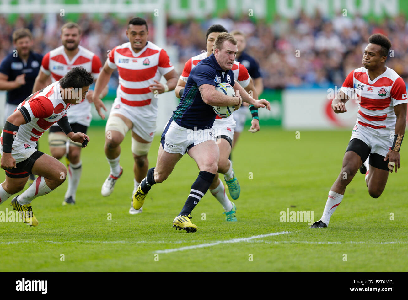 2015 world cup stuart hogg hi-res stock photography and images - Alamy
