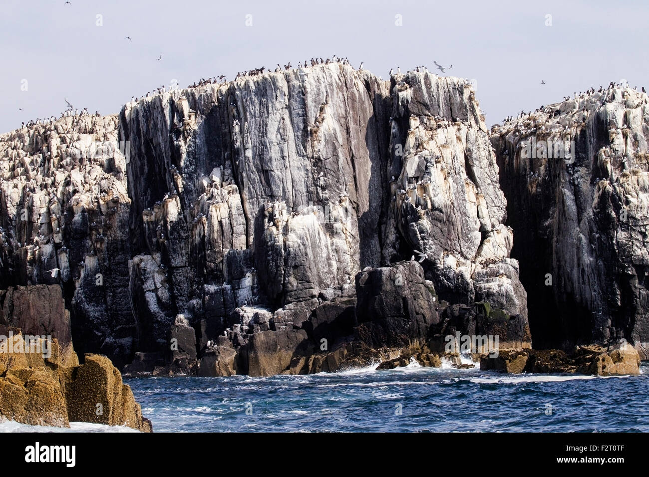 Igneous rock beaches hi-res stock photography and images - Alamy