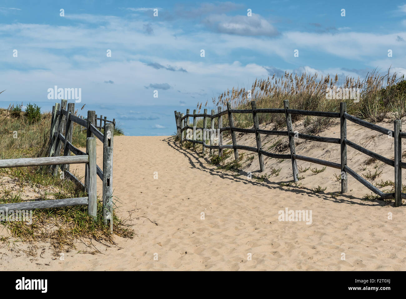 Sandbridge Beach Path Stock Photo - Alamy