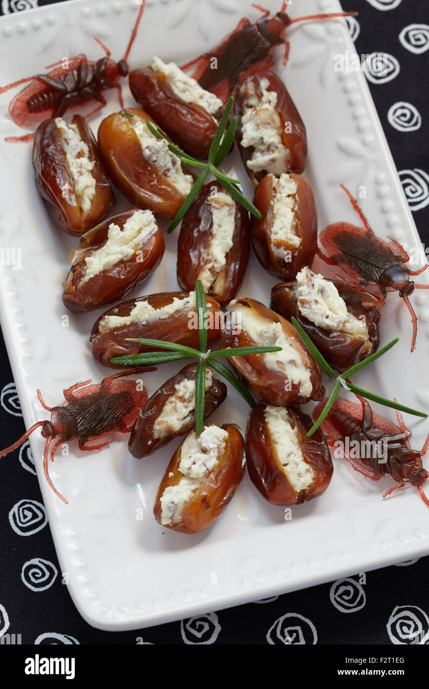 Stuffed roach. Dates with cheese, nuts and herbs for Halloween Stock ...
