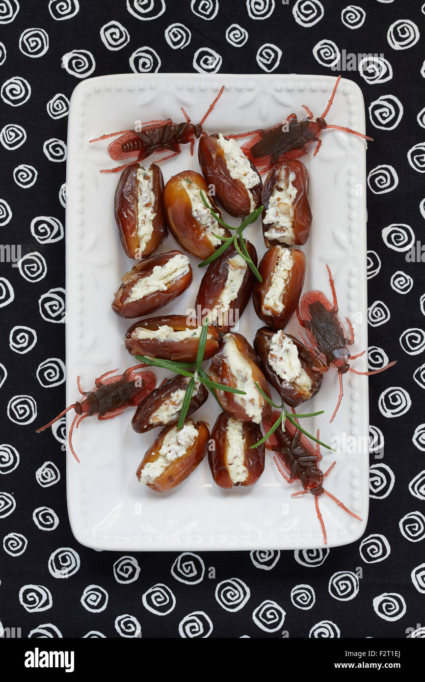 Stuffed roach. Dates with cheese, nuts and herbs for Halloween Stock ...