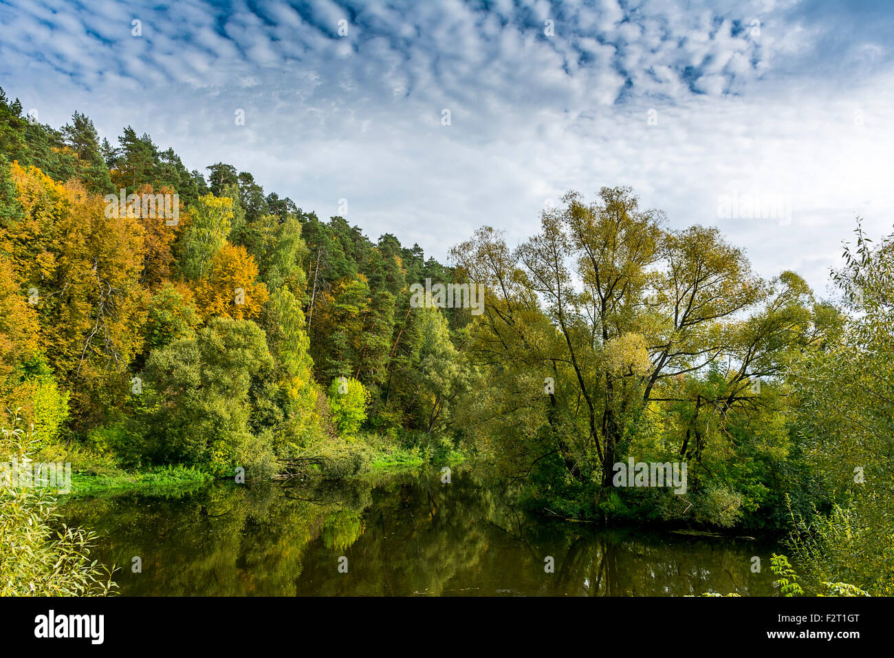 Beautiful autumn landscape, dry trees, cloudy sky, tree reflected in ...