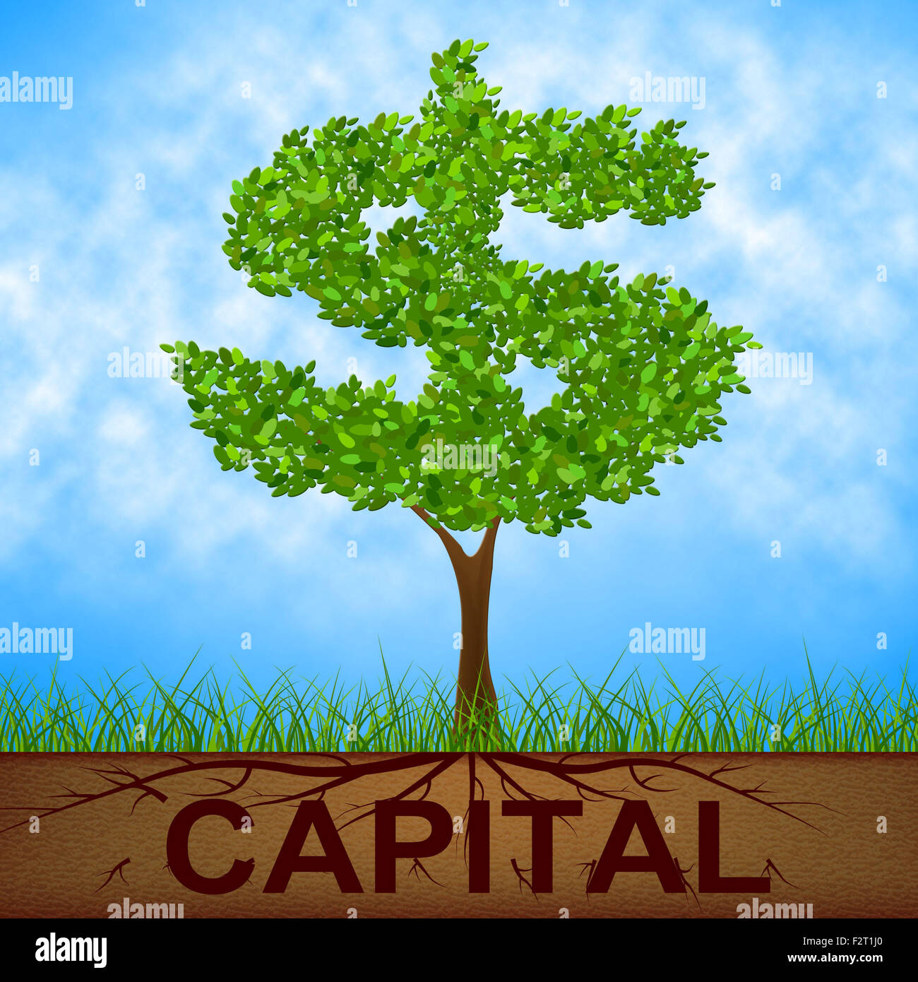 Capital Tree Representing United States And Usd Stock Photo - Alamy