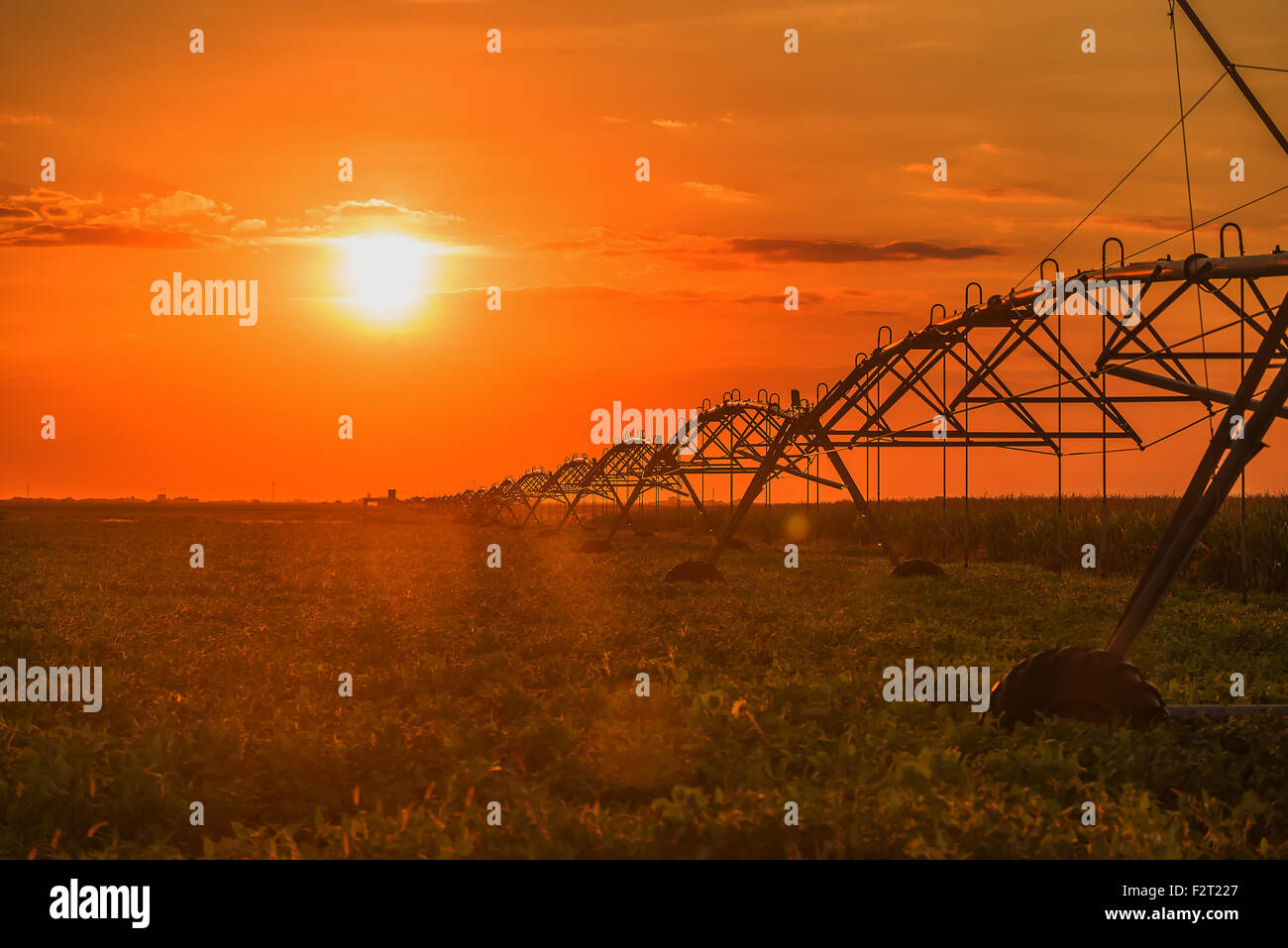 Automated farming irrigation pivot sprinkler system in soy field in ...
